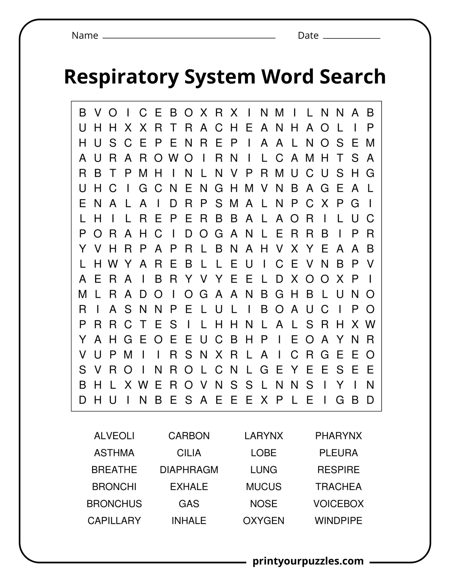 Respiratory System Word Search | Print Your Puzzles