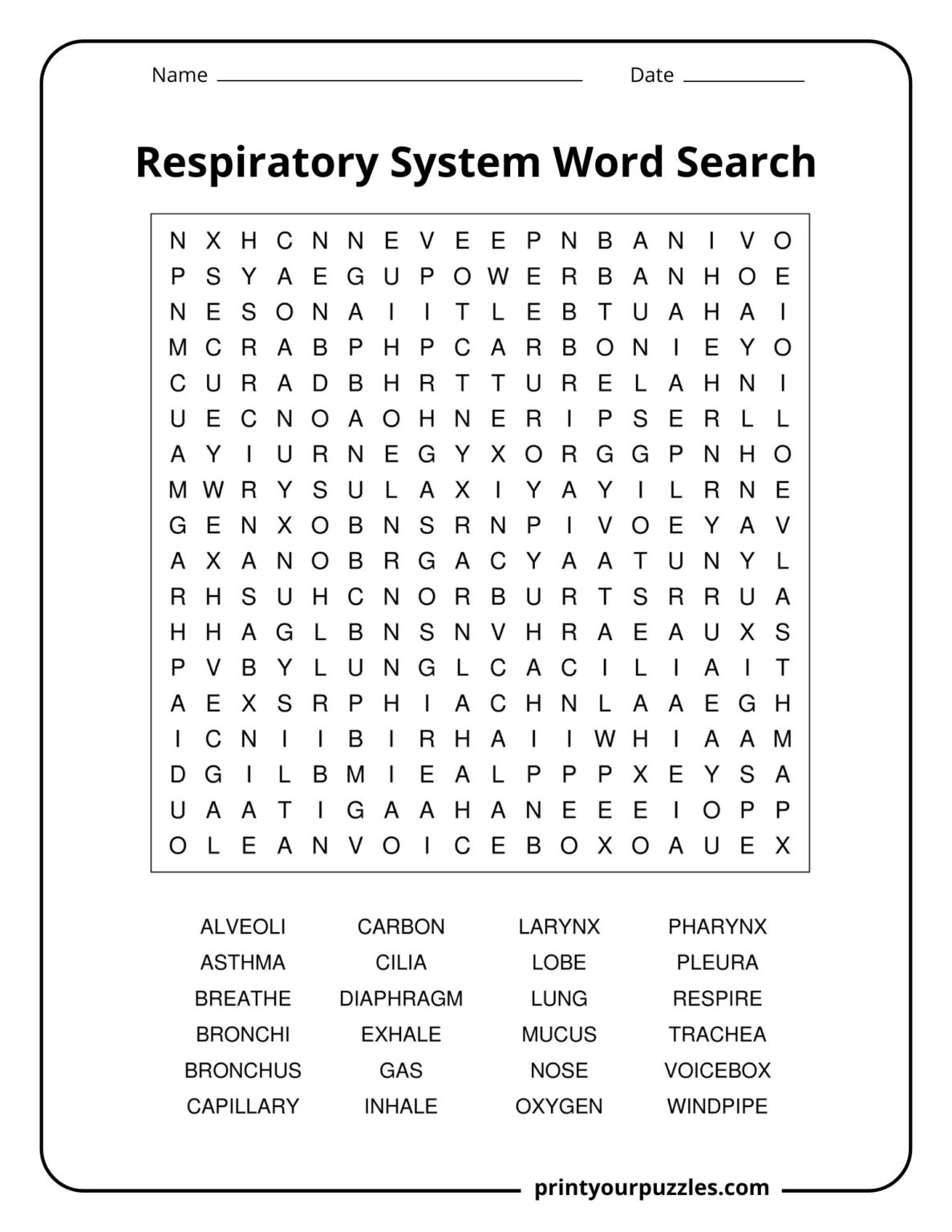 Respiratory System Word Search | Print Your Puzzles