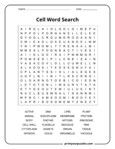 Science Word Searches | Print Your Puzzles