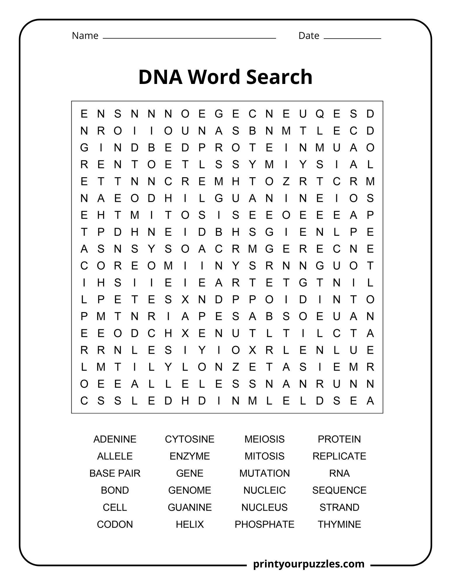DNA Word Search | Print Your Puzzles