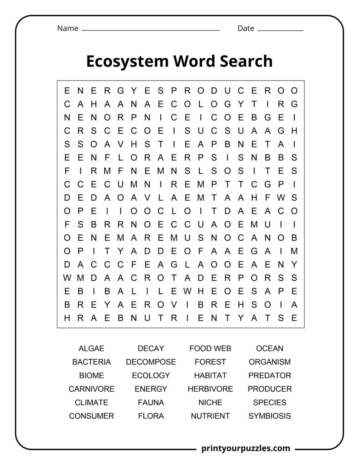 Ecosystem Word Search | Print Your Puzzles