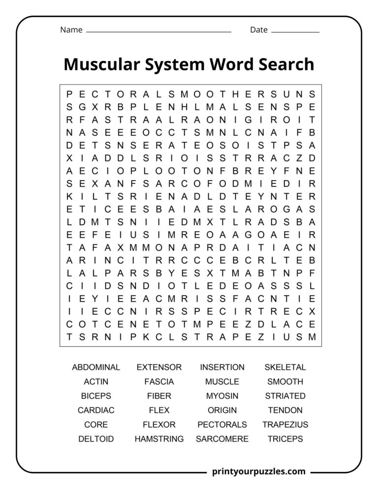 Muscular System Word Search | Print Your Puzzles
