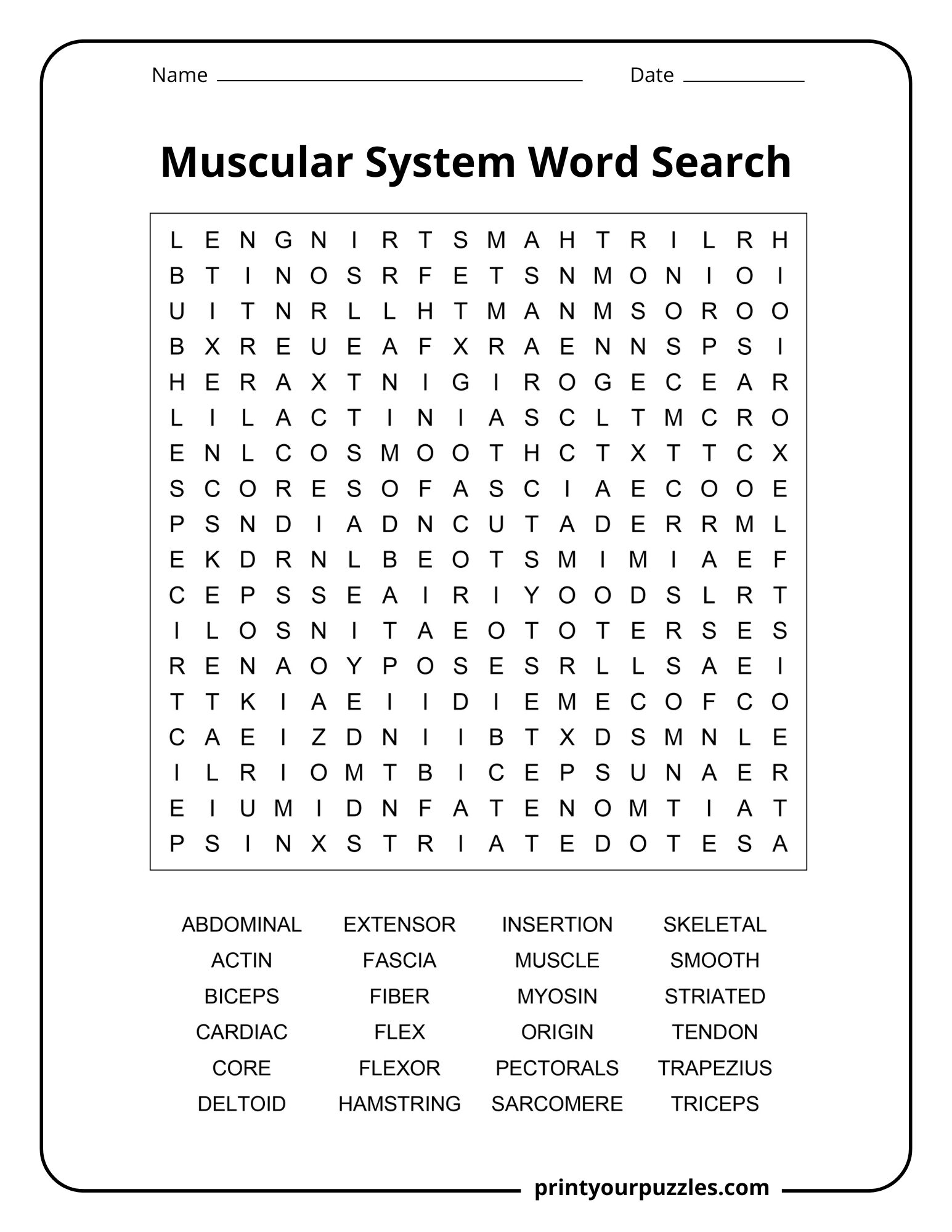 Muscular System Word Search | Print Your Puzzles