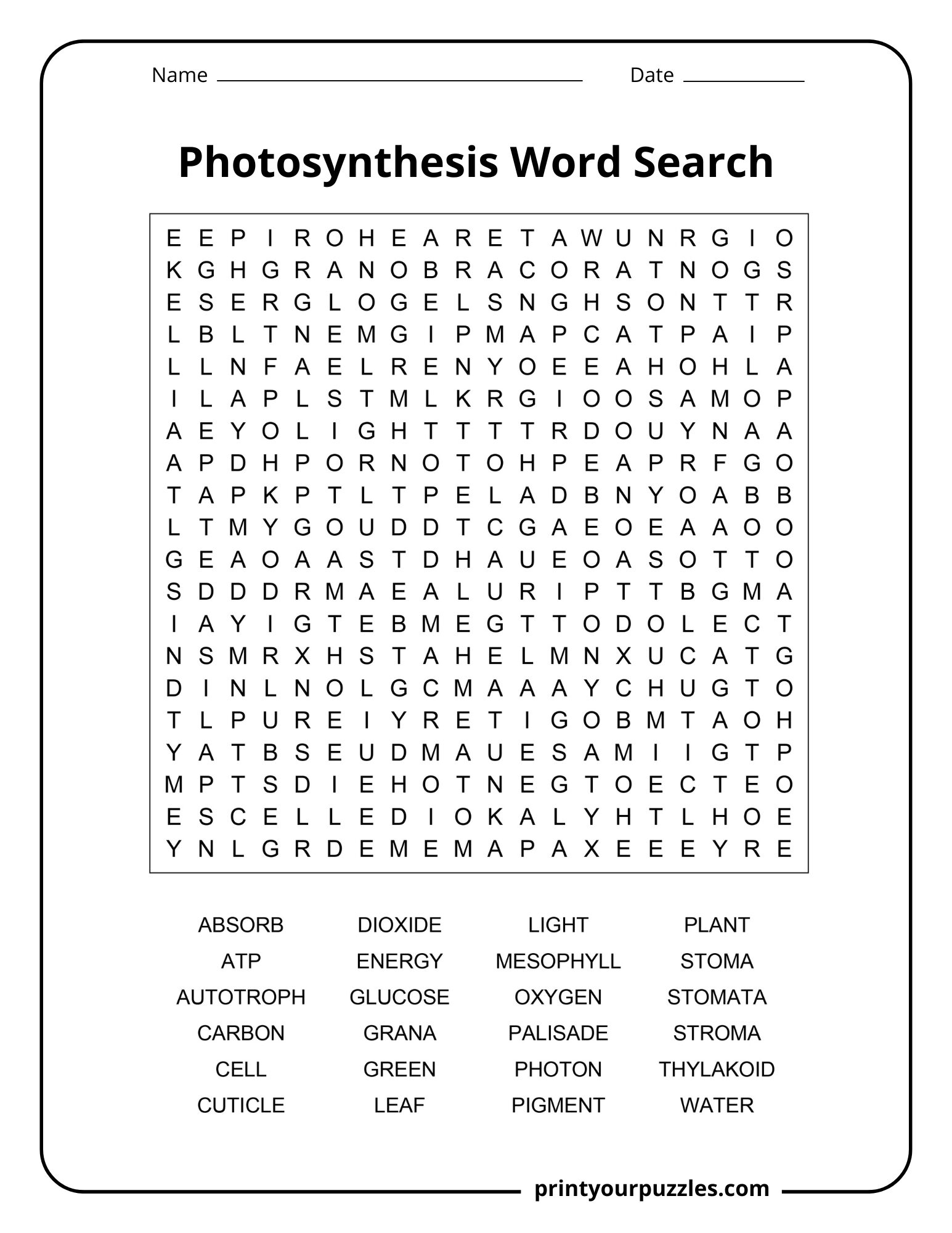 Photosynthesis Word Search | Print Your Puzzles