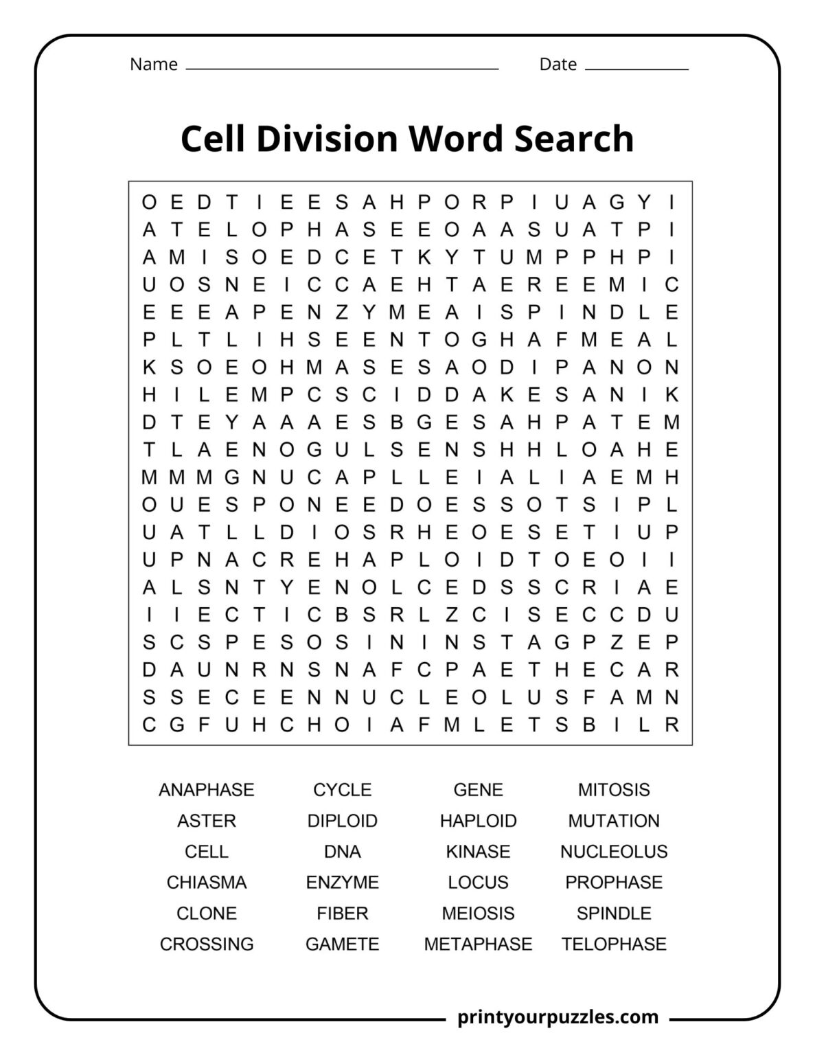 Cell Division Word Search | Print Your Puzzles