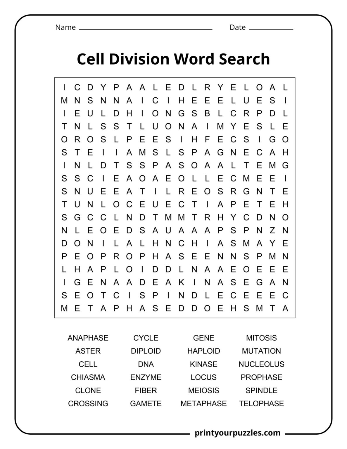 Cell Division Word Search | Print Your Puzzles