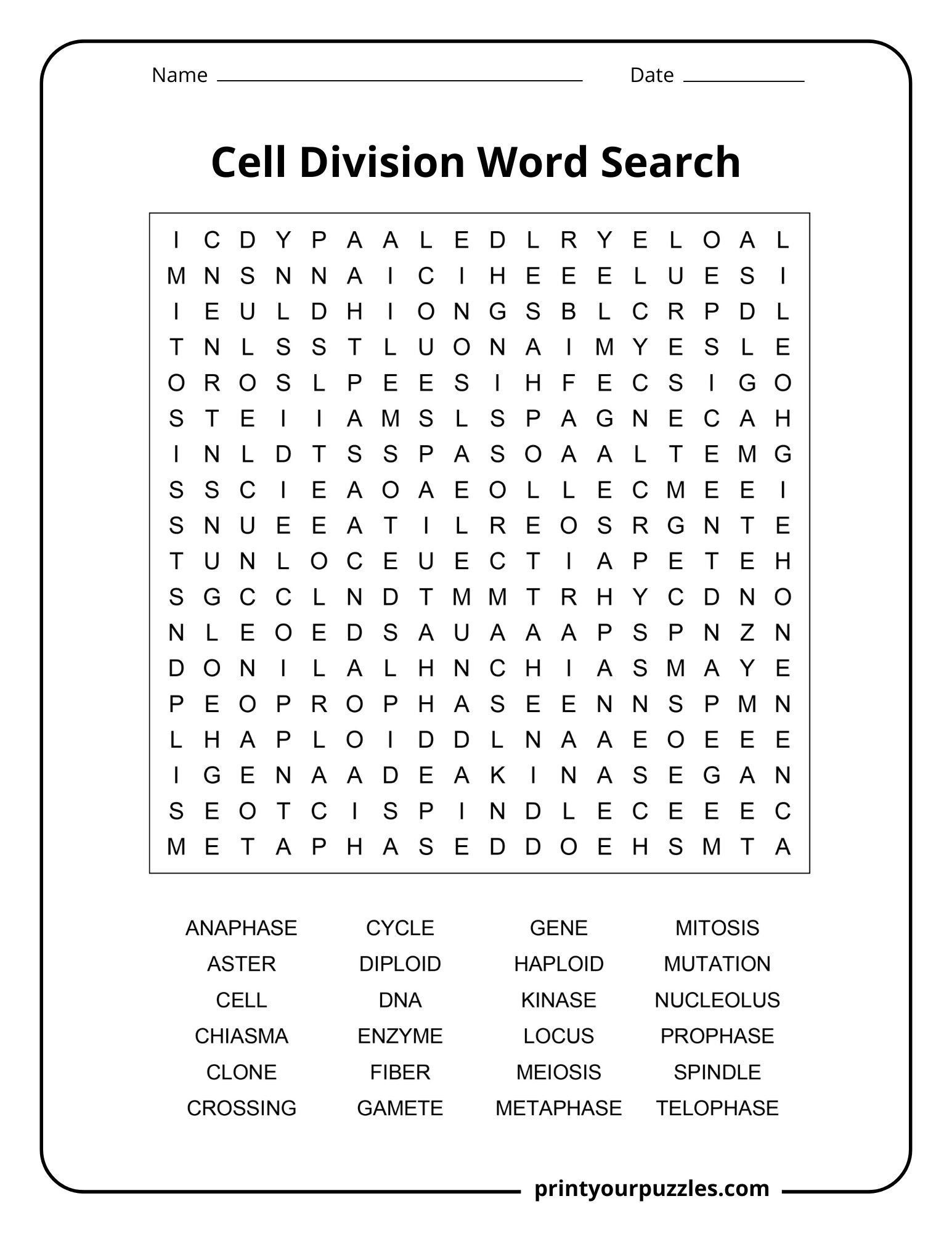 Cell Division Word Search | Print Your Puzzles