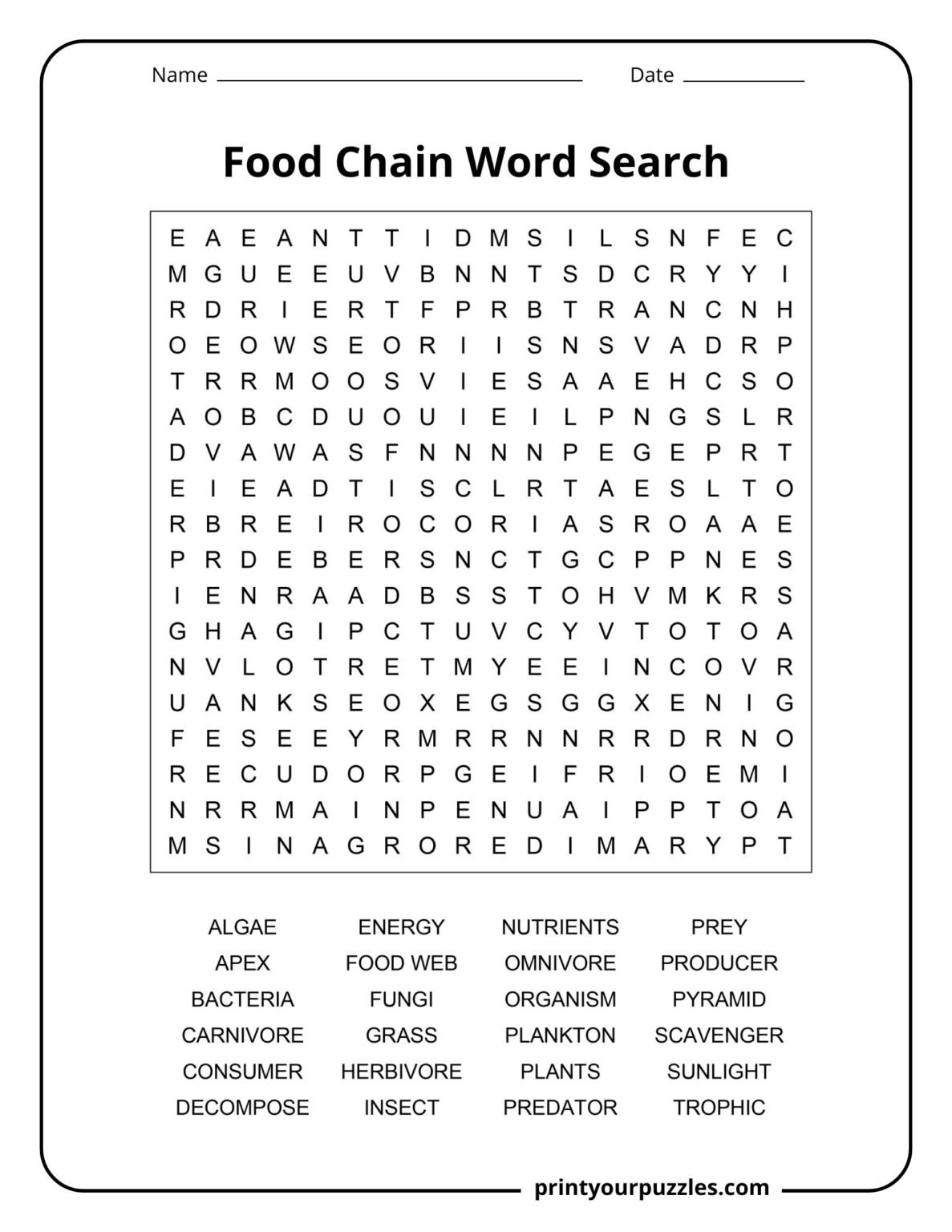 Food Chain Word Search | Print Your Puzzles