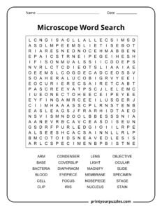 Microscope Word Search | Print Your Puzzles